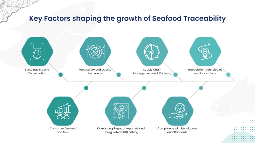 Navigating the Seas of Sustainability: How Seafood Traceability is Reshaping the Fishing Industry
